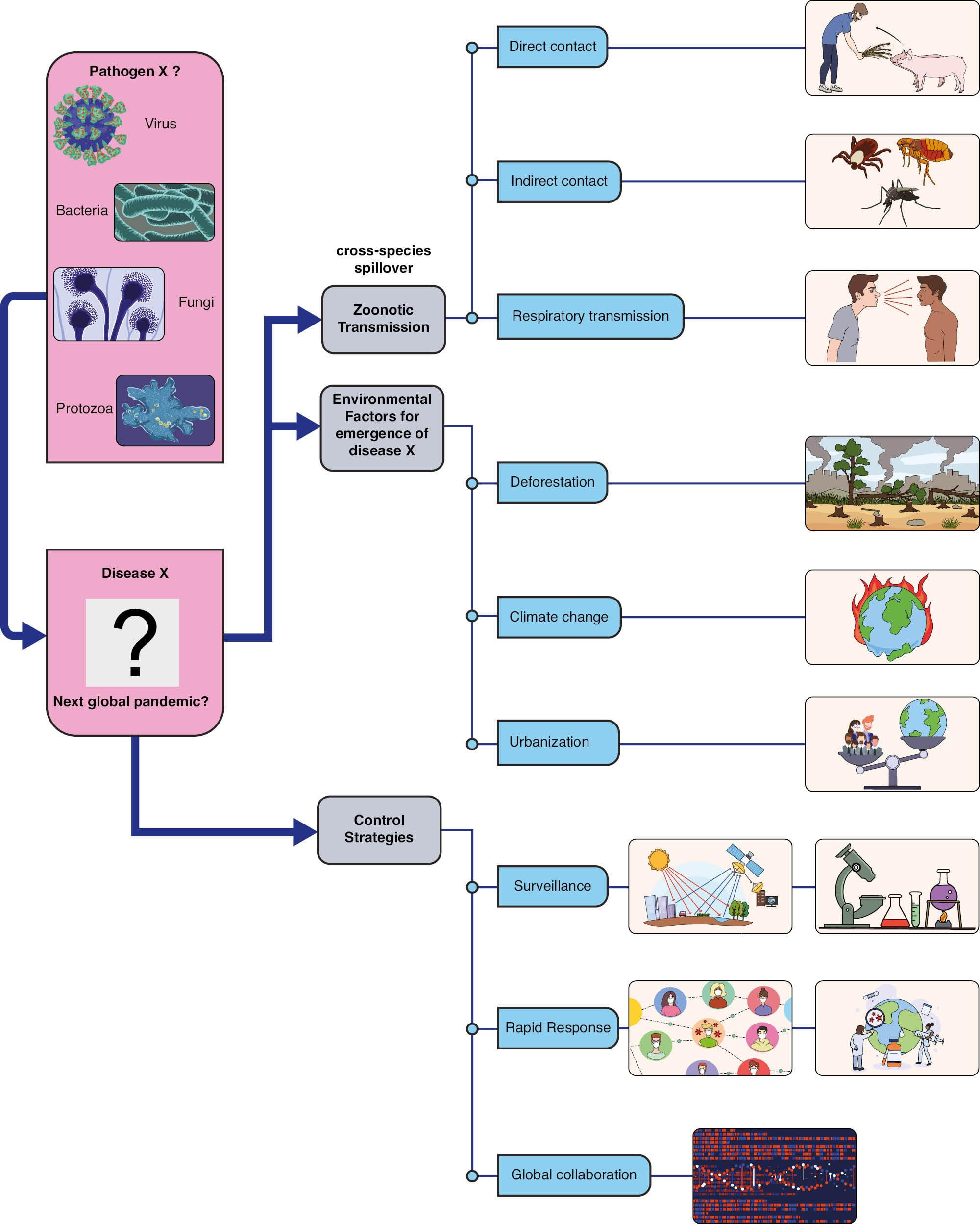 Unveiling Disease X: Strategies for Tackling the New Frontier of ...