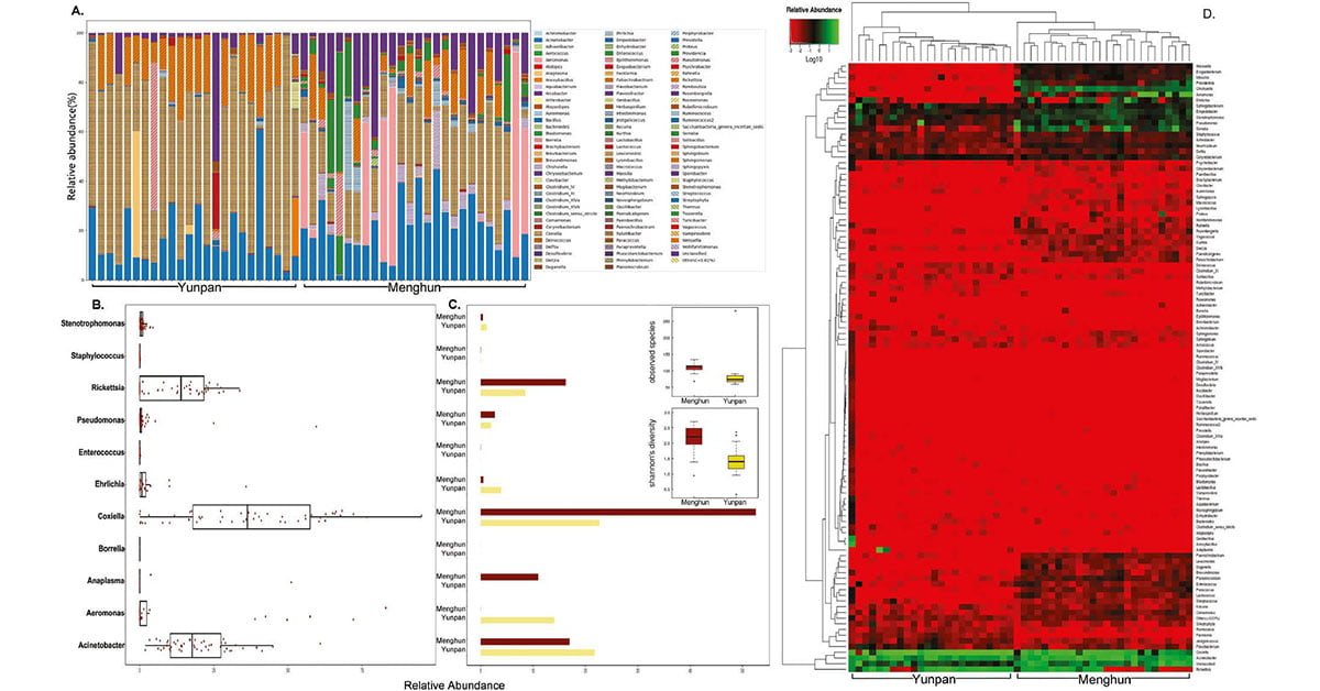 Spotted Fever Group rickettsiae are the Dominant Pathogens in Parasitic ...