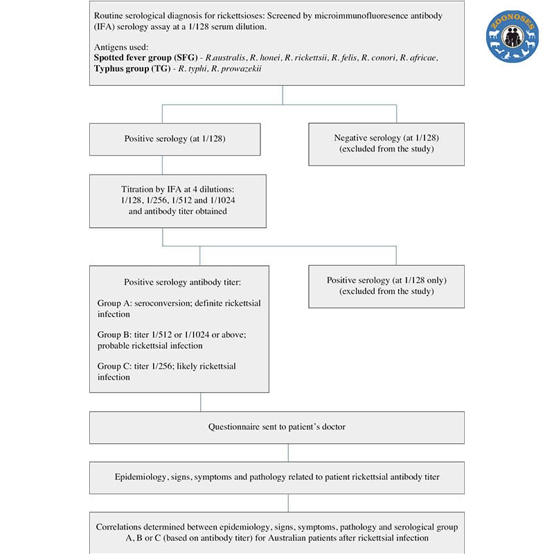 Rickettsial serology Archives - Zoonoses Journal