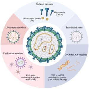 Current Advances in Vaccine Development for Severe Fever with ...